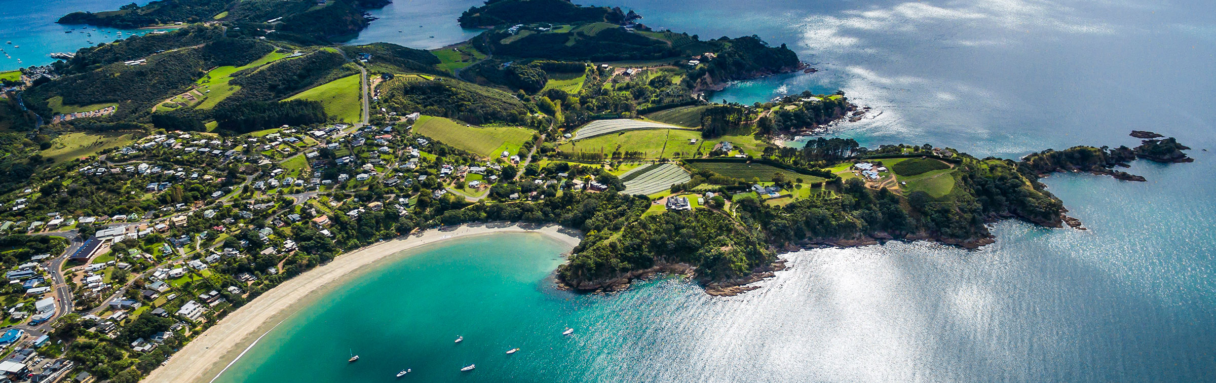 Waiheke | Mata Gas